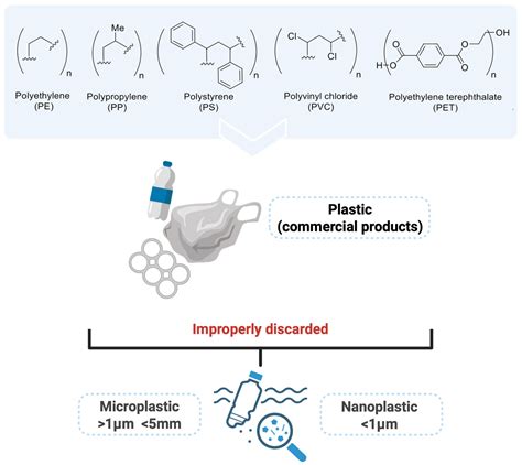 Micro And Nanoplastics On Human Health And Diseases Perspectives And