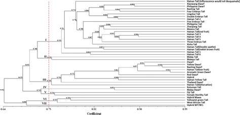 Dendrogram Of 42 Coconut Germplasm Based On Developed Coconut Ssr