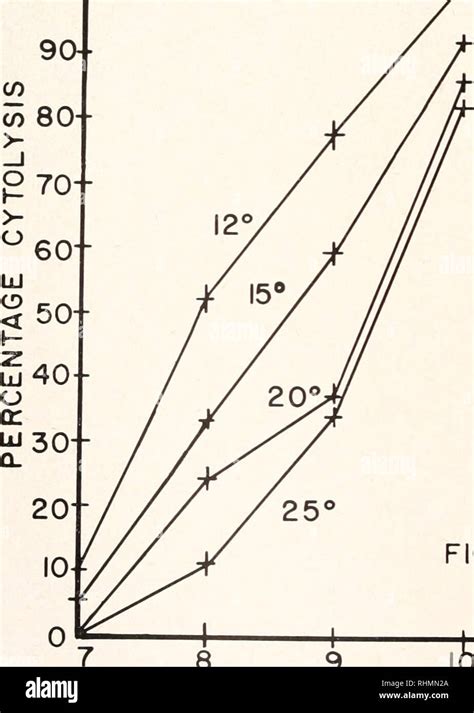 Labeled Blepharisma