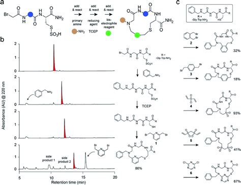 Macrocycle Synthesis Strategy Based On Step Wise “adding And Reacting” Three Components Enables