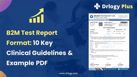 B2m Test Report Format Pdf Sample Template And Example Guide Drlogy