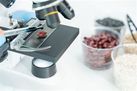 과학자는 실험실에서 화학 전체 곡물 잔류 물을 확인합니다 제어 전문가는 화학 잔류 물의 농도를 검사합니다 위험 표준 금지 물질 오염 미생물학자 0명에 대한 스톡 사진 및