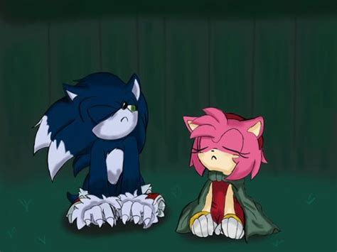 Sonamy Werehog Wiki Sonamy Fans Amino