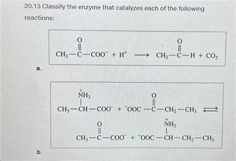 Solved 20 13 Classify The Enzyme That Catalyzes Each Of The