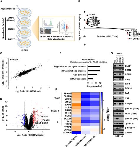 Label Free Dia Quantitative Proteomics Mtoz Biolabs