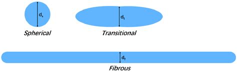 Scheme 1 The Diagram Of Diameter Measurement Of Pva Nodules Of Download Scientific Diagram