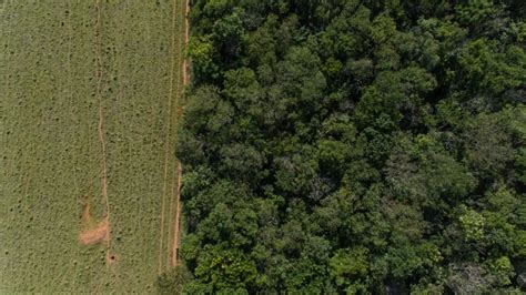 How Static Vs Dynamic Baselines Affect Carbon Projects Corrina Kudla Phd Posted On The Topic