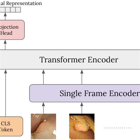 Multi View Transformer Encoder Tracklet Frames Are Passed Through A Download Scientific