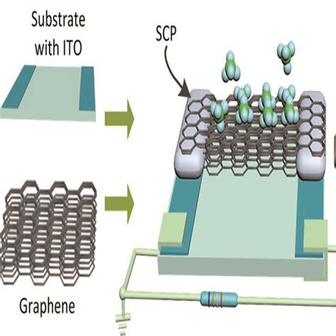 Characterization Of 3d Graphene Foam A Sem Image Of 3d Graphene Download Scientific Diagram
