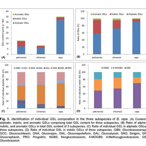 Construction Of The Plant Expression Vector And Generation Of