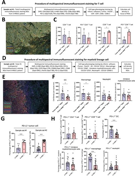 The Ferroptosis Signature Correlates With An Active Immune Environment Download Scientific