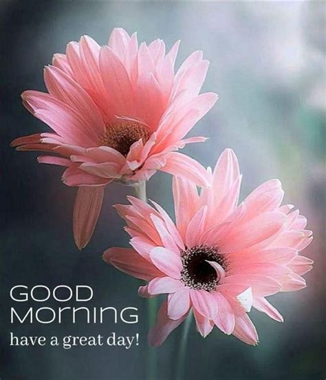 Pin By ∙༺ ༻∙mj Hunter Wemken∙༺ ༻∙ On Good Morning And Good Night 🌹🍃🌹