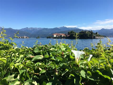 무료 이미지 자연 초목 언덕 역 잎 하늘 저수지 황야 수자원 고지 호수 지구 식물 마운트 풍경 알프스 산맥 꽃 강 관광 여행 경치 바다