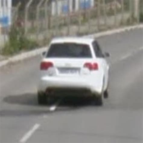 Projectambella Object Detection Dataset And Pre Trained Model By Cannabis