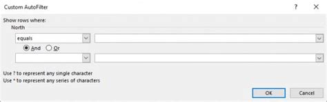 Setting Up Custom AutoFiltering Microsoft Excel