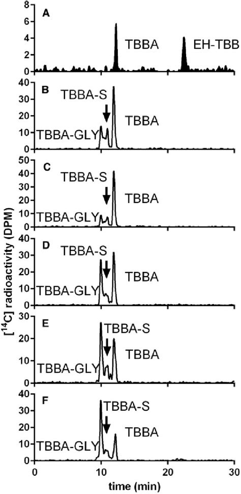 Representative Hplc Radiochromatograms Of [ 14 C] Radioactivity In Download Scientific Diagram