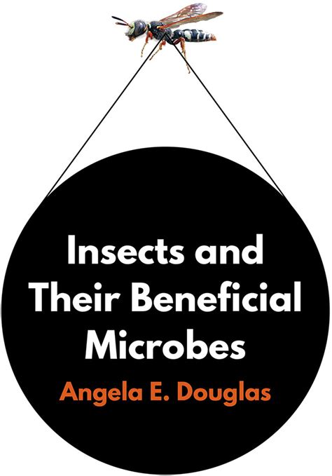 The Intricate World Of Insectmicrobe Symbiosis Trends In Ecology
