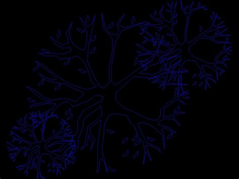 Tree In Top View In AutoCAD CAD Library Tree In Top View In AutoCAD CAD Library