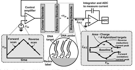Electrochemical Biosensor Array For Multiplexed Detection At Kristie