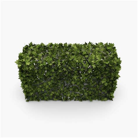 Garden Bushes 3d Model 19 Fbx Max Obj Free3d