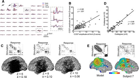 Corticocortical Evoked Potentials Reveal Projectors And Integrators In