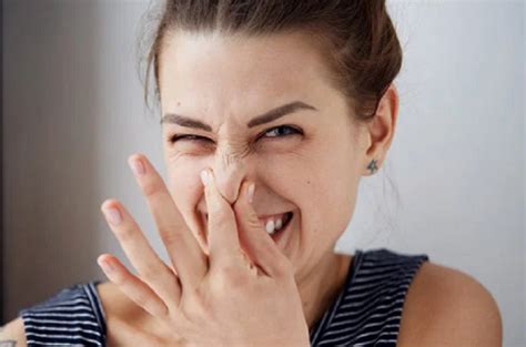 Peneliti Ungkap Mencium Bau Kentut Pasangan Bikin Panjang Umur Kok