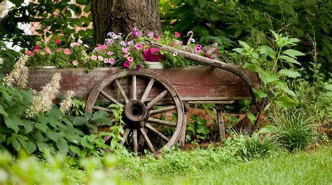 Diy Rustic Garden Ideas
