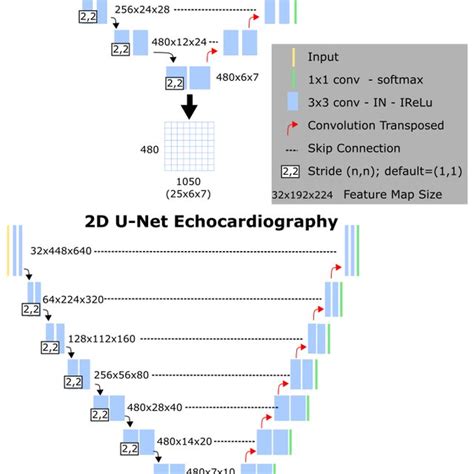 The Nnu Net Architecture Top The Segmentation Network Used For Cmr Download Scientific