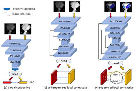 Illustration Of A Self Supervised Global Contrastive Loss B Download Scientific Diagram