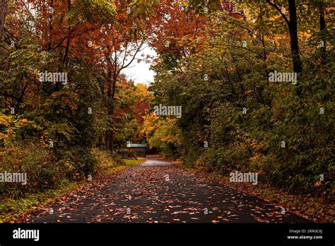 Fall Trees Path Leading To Shed Stock Photo Alamy