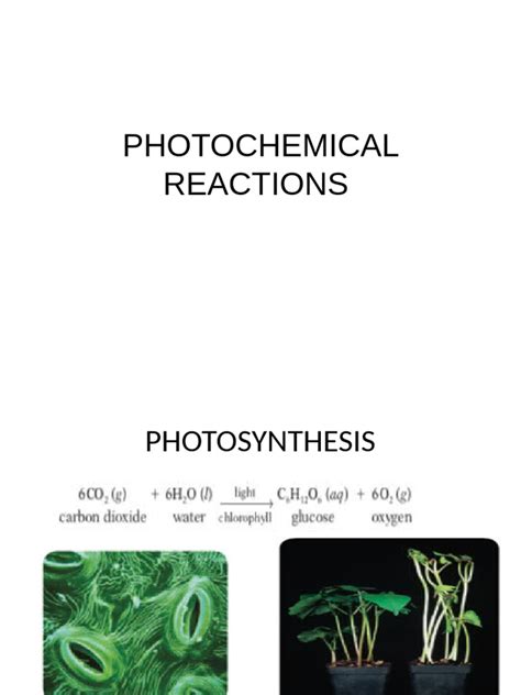 Photochemical Reactions Pdf