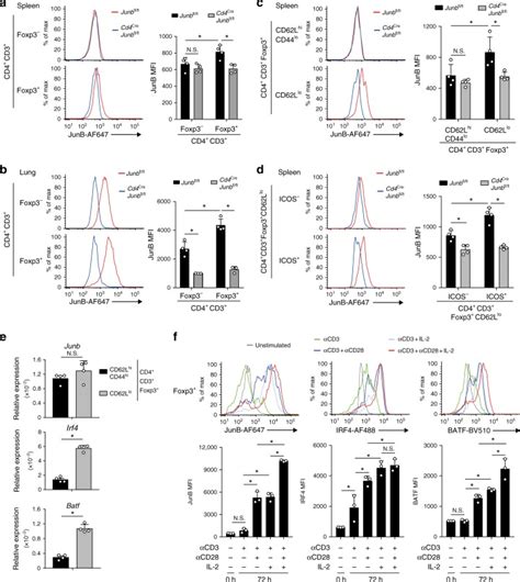 Junb Regulates Homeostasis And Suppressive Functions Of Effector