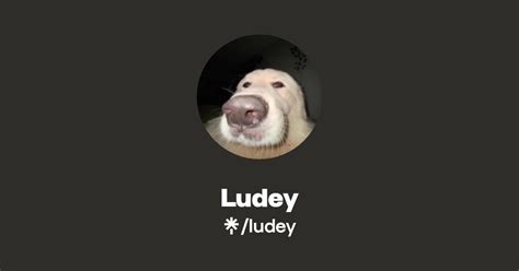 Ludey Linktree