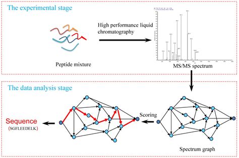 De Novo Peptide Sequencing Service Mtoz Biolabs