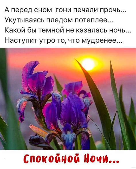 Николай on Instagram: “🤗#спокойнойночи” | Ночь, Спокойной ночи, Милые ...
