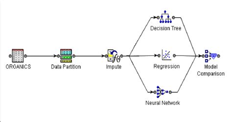 Layout Of The SAS Enterprise Miner Workflow For The Comparison Of Download Scientific Diagram