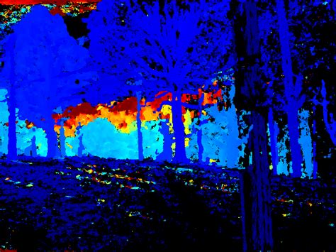dense stereo reconstruction ignoring all images · issue 297 · colmap