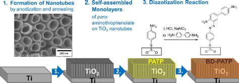 Fabrication Of Dye Modified TiO Nanotube Electrodes Aschemes Howing Download Scientific