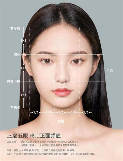 美业人必学：面部比例图解析