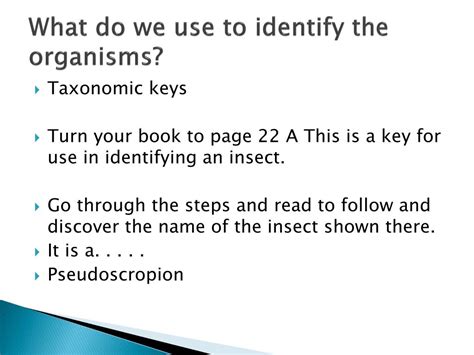 Ppt Classifying Organisms Powerpoint Presentation Free Download Id