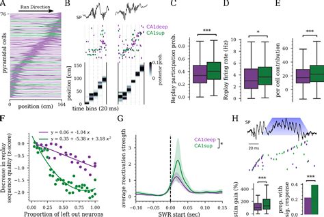 Hippocampo Cortical Circuits For Selective Memory Encoding Routing And Replay Pmc