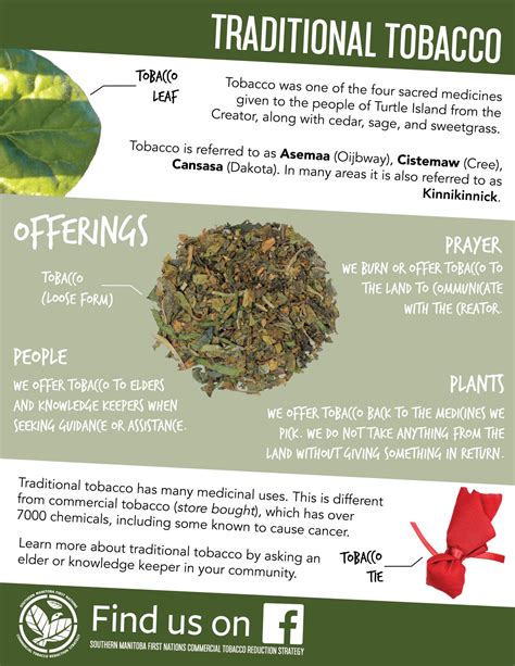 Our New Traditional Tobacco Infographic Fact Sheet This Is The First