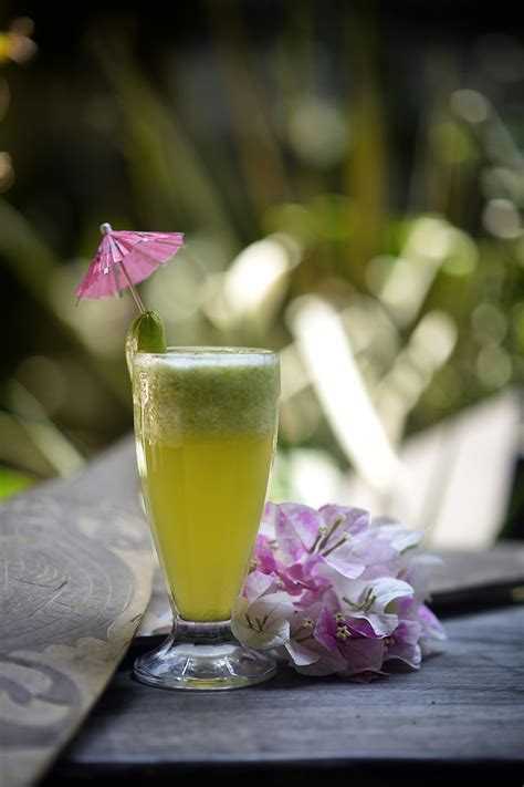 무료 이미지 자연 식물 꽃잎 녹색 생기게 하다 음주 원기 회복 리큐어 본질적인 상쾌한 매크로 사진 주류 여름 음료 증류수 우산 음료 빌림 음료