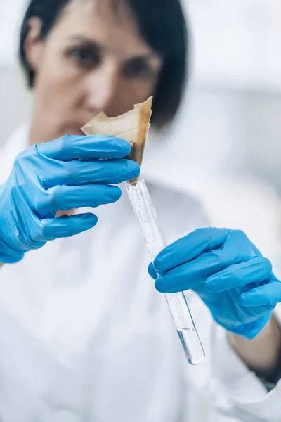 Laboratory Soil Images Search Images On Everypixel