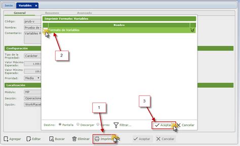 Cómo Imprimir Formato de Variables en eFactory Software MP
