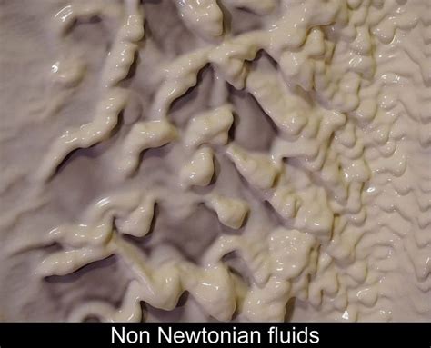 Non Newtonian Fluids Non Newtonian Fluid Newtonian Fluid Non Newtonian Liquid