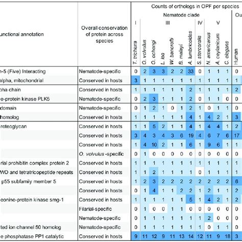 Conservation Of The 19 Prioritized Proteins Based On Orthofinder Download Scientific Diagram
