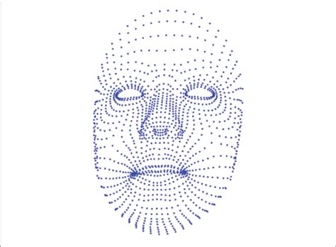 facial contour that consists of 1 347 vertices generated by kinect