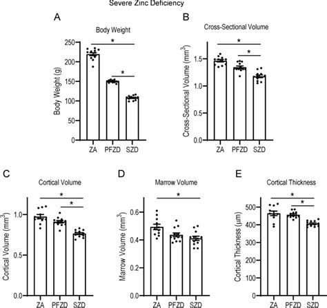 Severe Zn Deficiency Adversely Affected Cortical Bone Microarchitecture Download Scientific