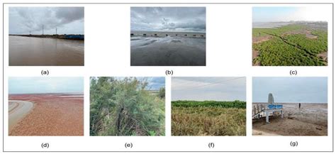 a deep learning classification scheme for polsar image based on